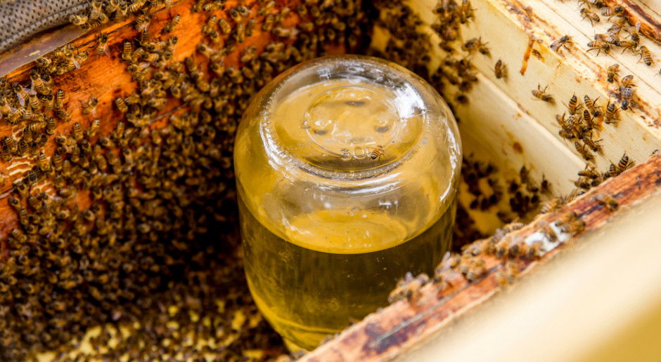 Nosemoza sieje spustoszenie w pasiekach. Cz.2: Jak uchronić pszczoły ...